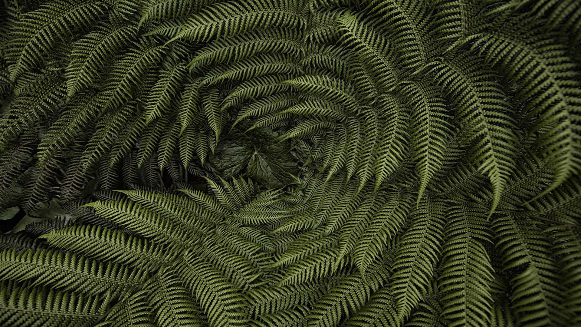 ServiceNow announces ESG solution with KPMG | UNLEASH