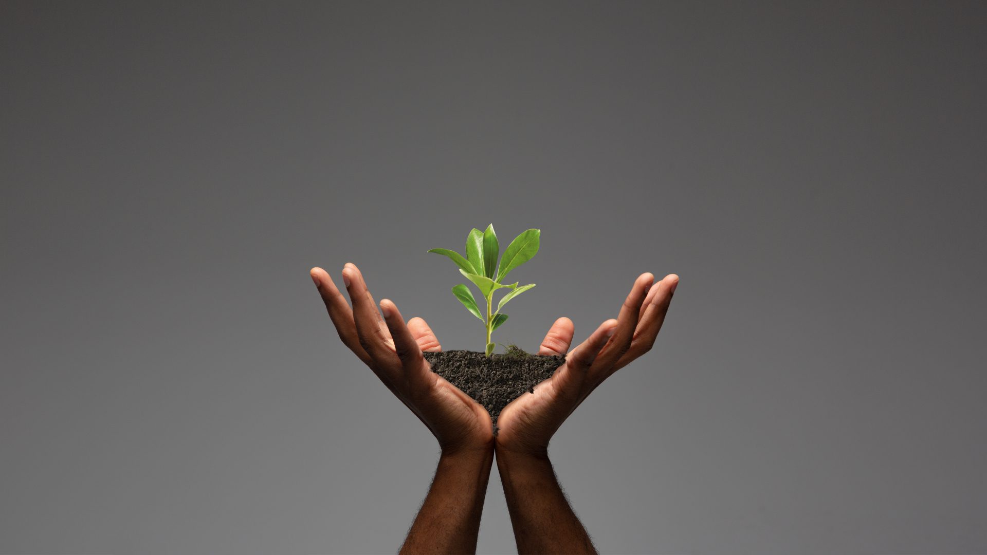 How to grow and retain a diverse team | UNLEASH