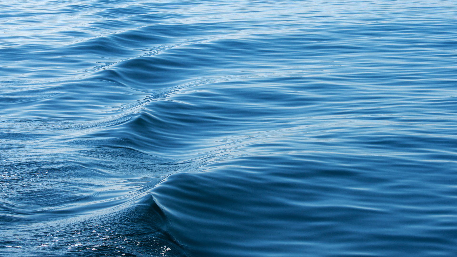 Rippling’s value reaches $11bn after Series D | UNLEASH