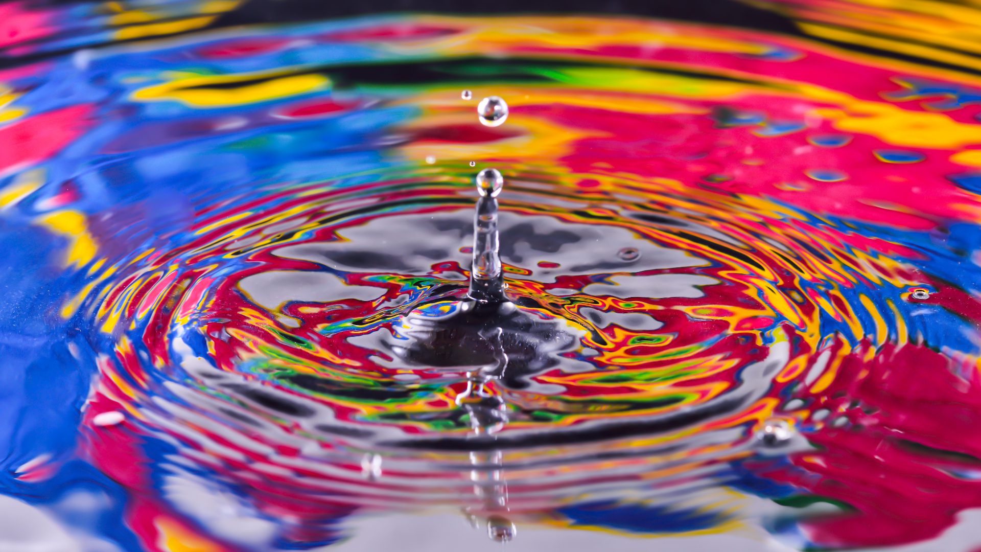 Defining purpose, sustainability and impact | UNLEASH