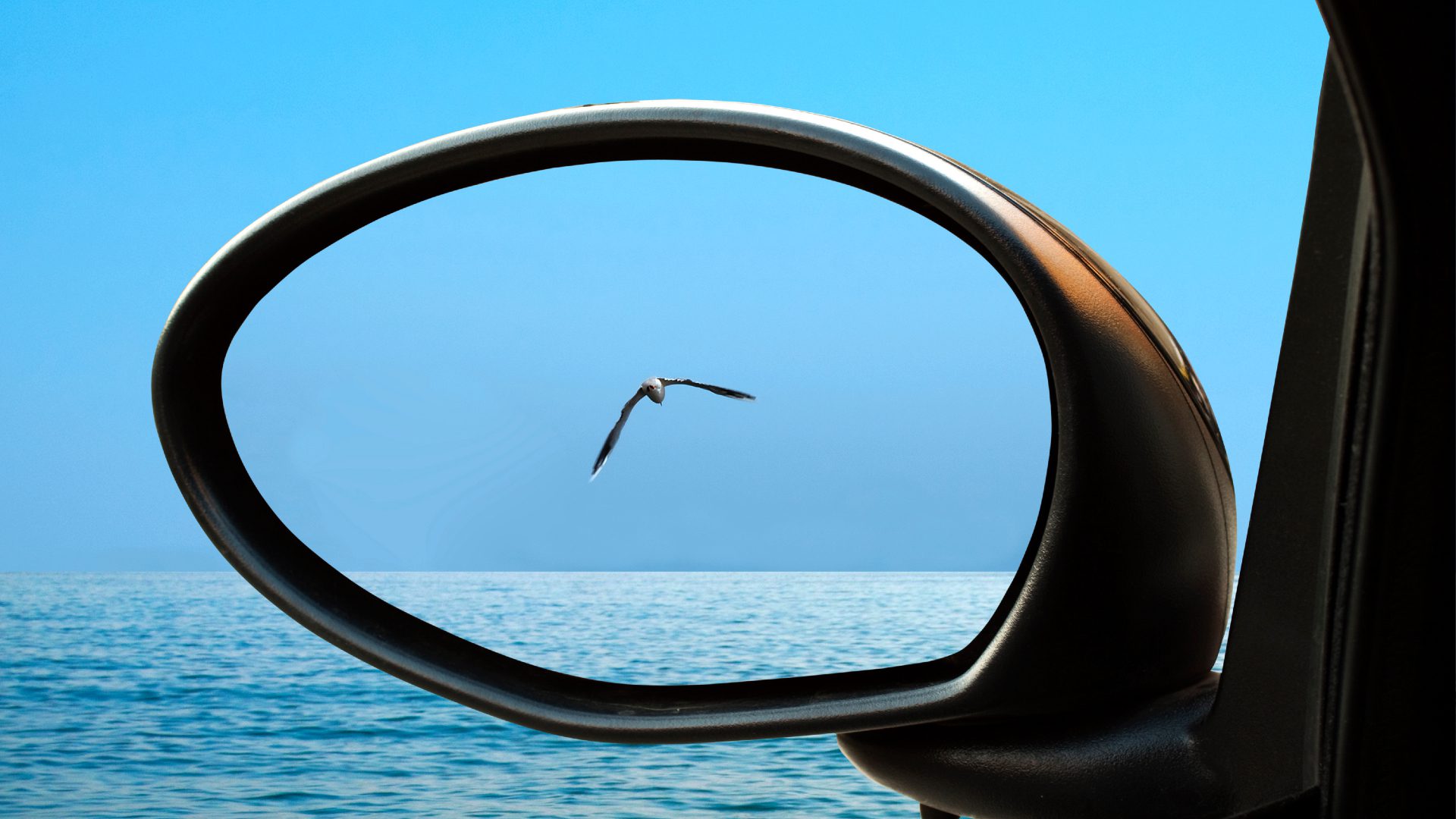 Learning to look back to look forward | UNLEASH