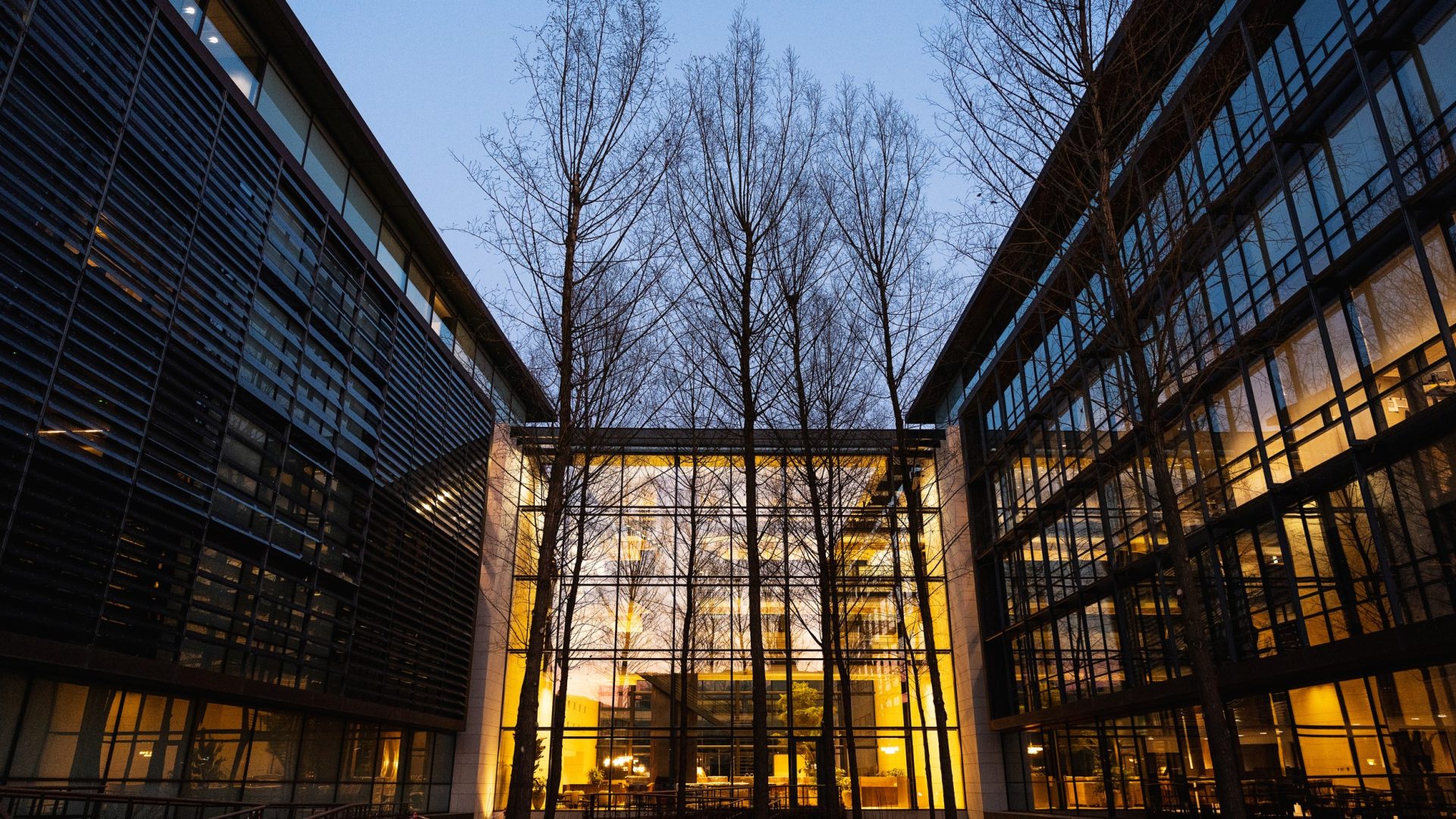 Netcompany CPO: Ethics must be top of mind with HR & AI | UNLEASH