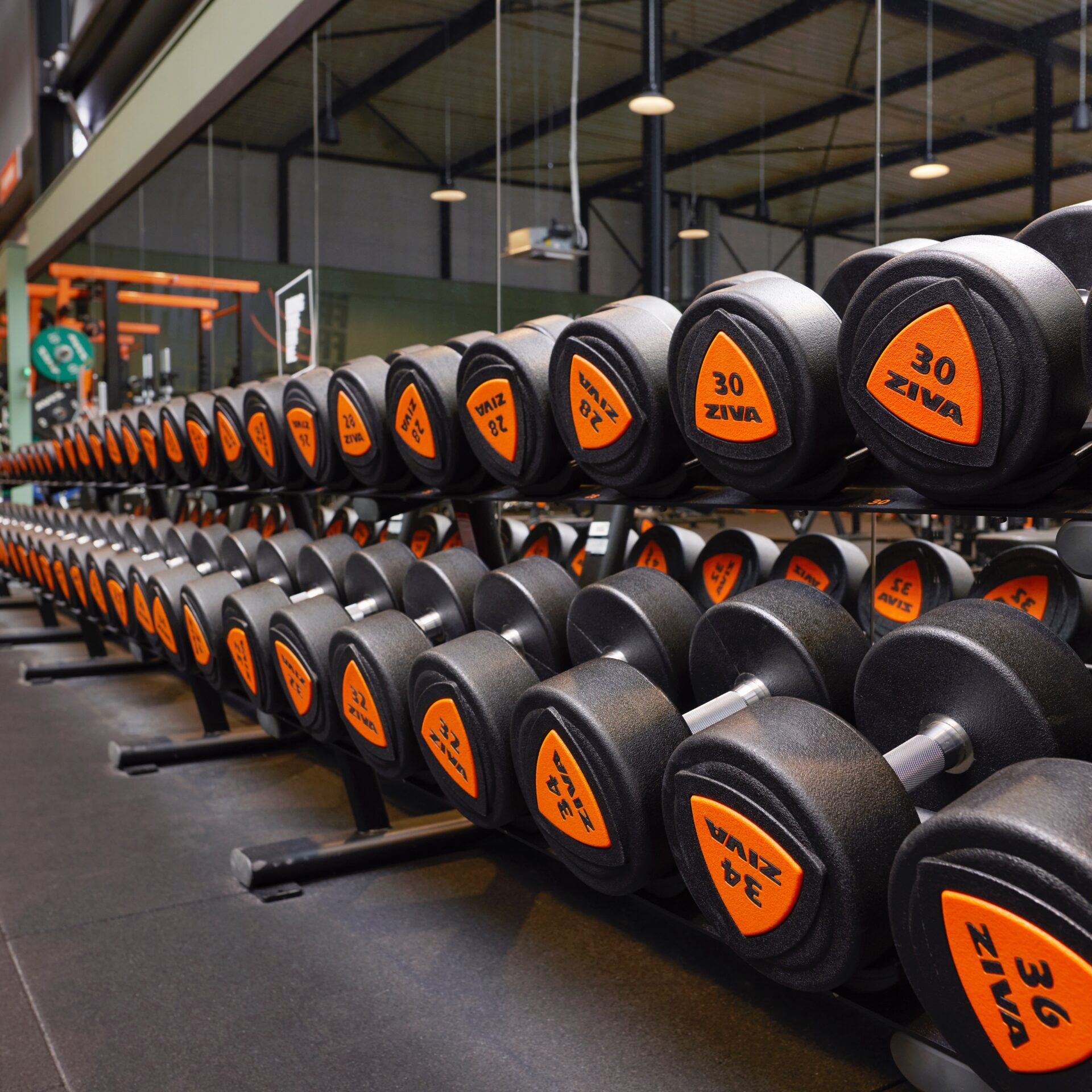 How Basic-Fit transformed its EX with Workday, marking the company’s ...